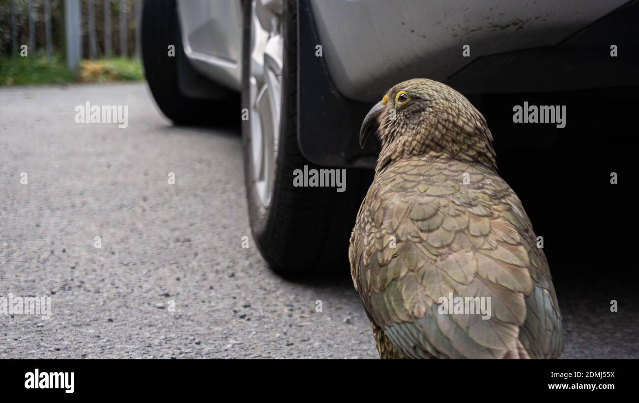 Hitch a ride hi-res stock photography and images - Alamy