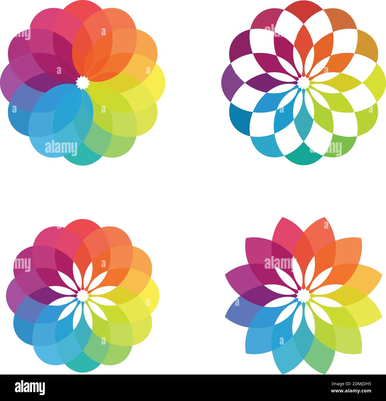 Colorful flower vector concept design - bright colored flower colour ...