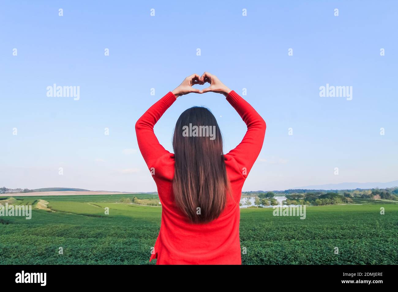 Human Heart Rear View High Resolution Stock Photography and Images - Alamy