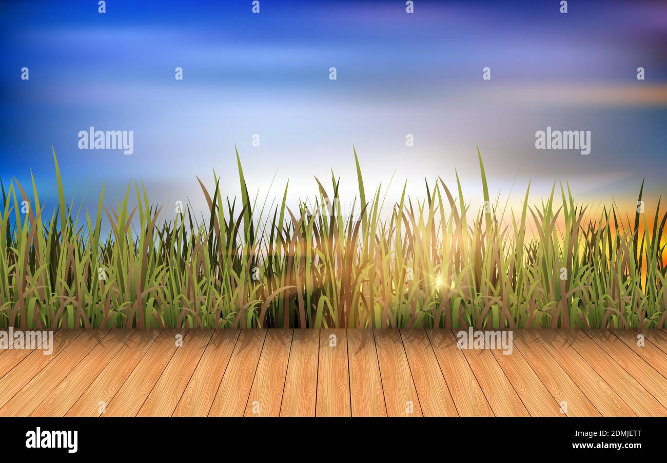 Garden showcase Stock Vector Images - Alamy