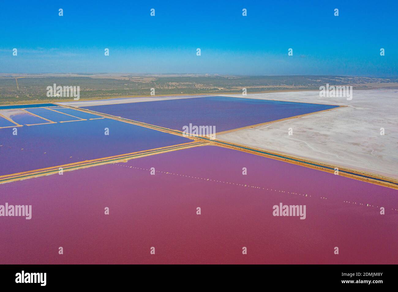 Pink lake at port gregory in Australia Stock Photo - Alamy