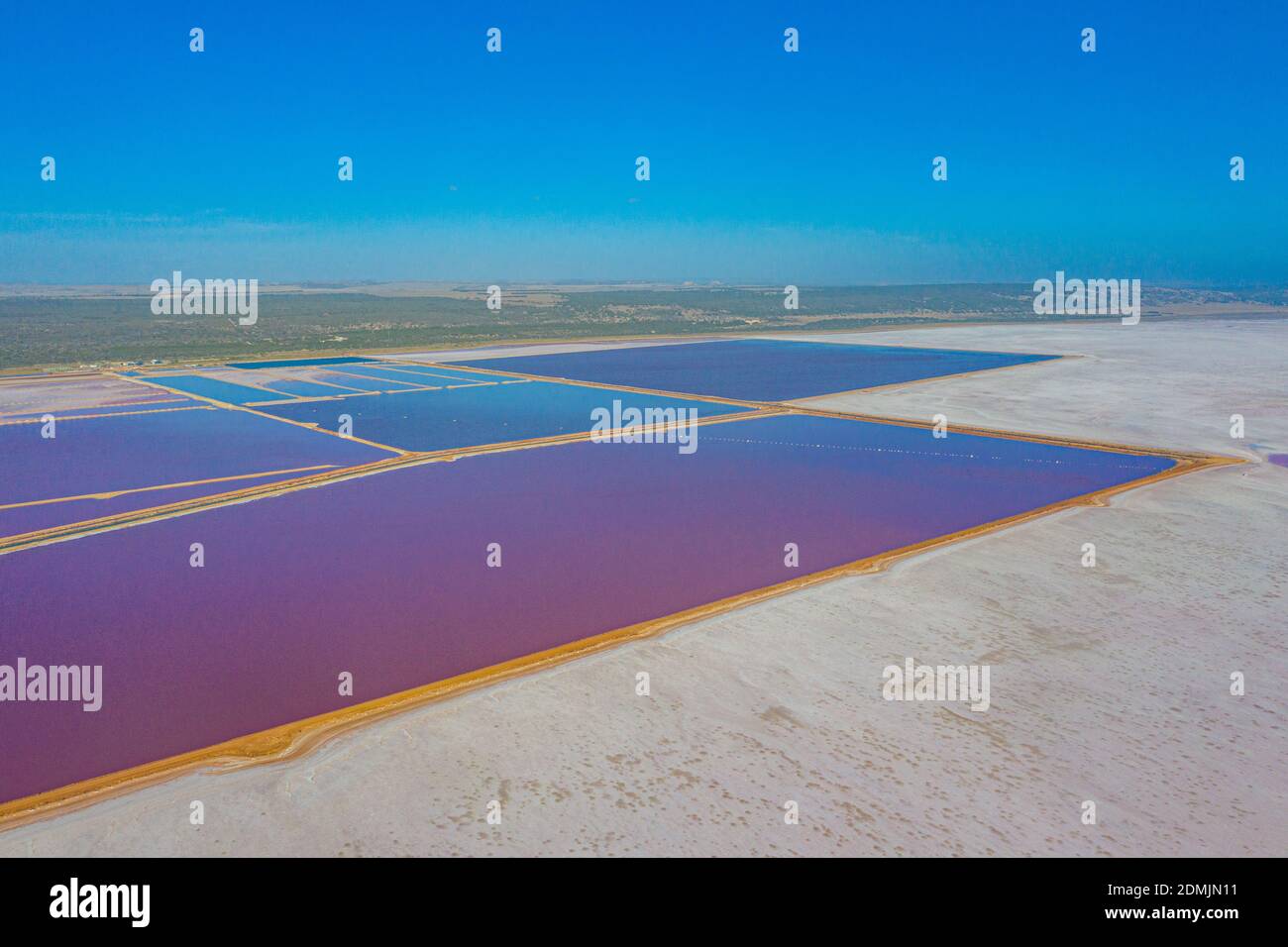 Pink lake at port gregory in Australia Stock Photo - Alamy