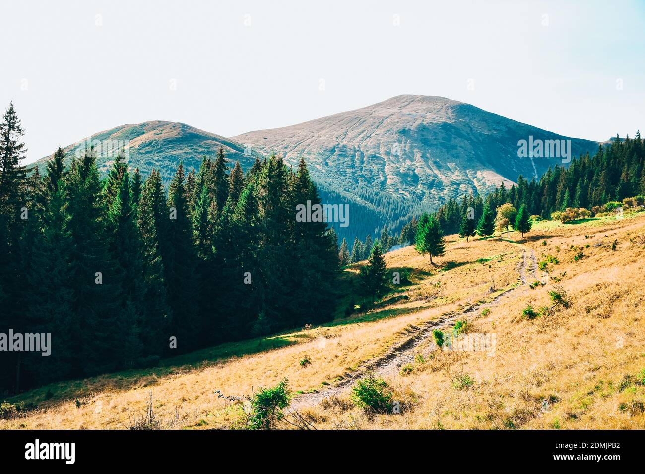 View climbing mount hoverla hi-res stock photography and images - Alamy