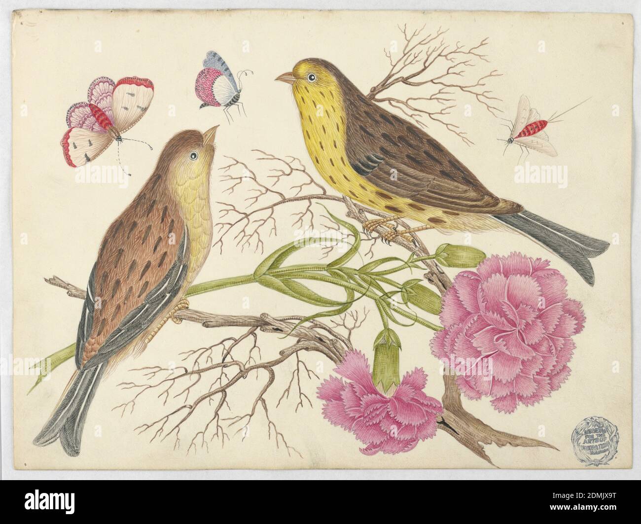 Two Brown-and-Yellow Birds on Branches with Carnations and Insects, Pen ...