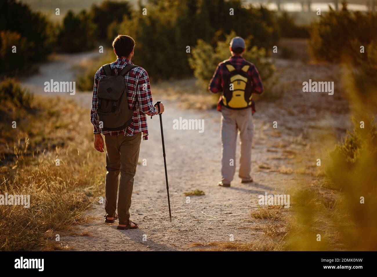 two men hikers enjoy a walk in nature, sunset time in summer. enjoying ...
