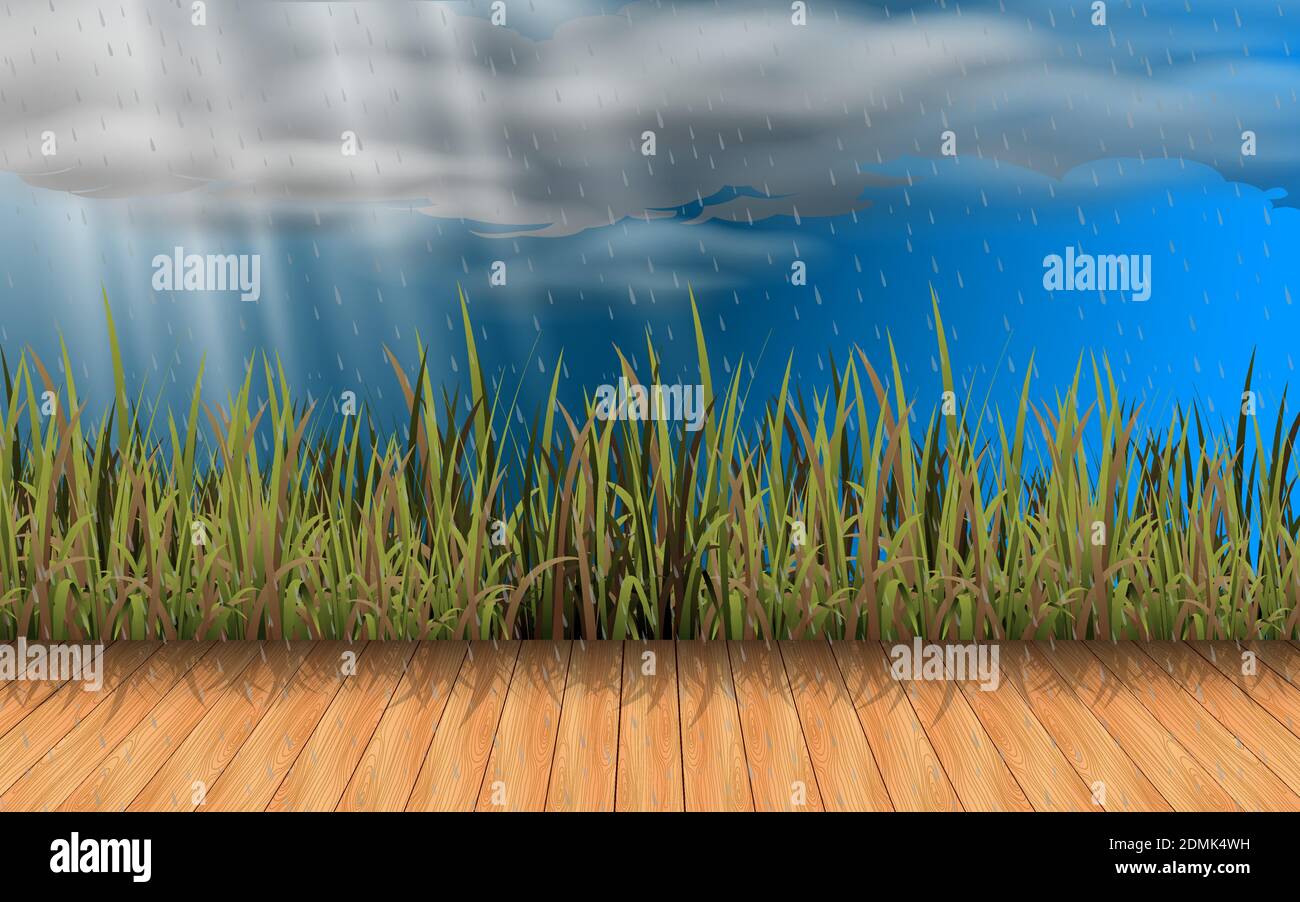 Garden showcase Stock Vector Images - Alamy