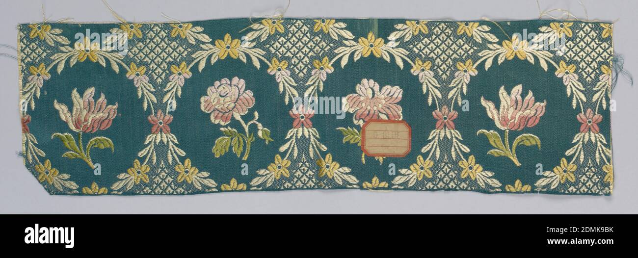 Warp in different colors hi-res stock photography and images - Alamy