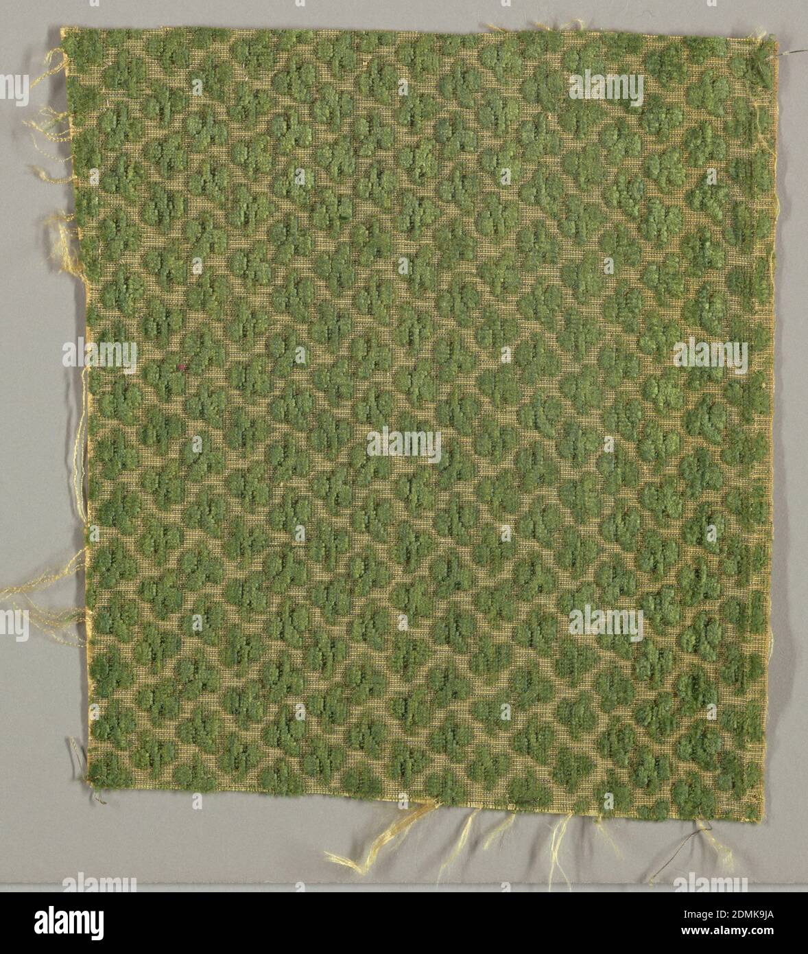 Cut dark green velvet pile hi-res stock photography and images - Alamy