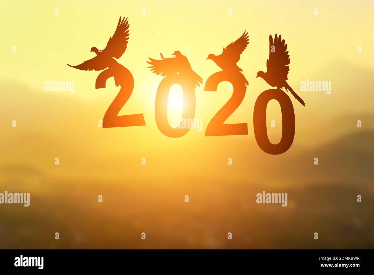 Bird of the year 2020 hi-res stock photography and images - Alamy