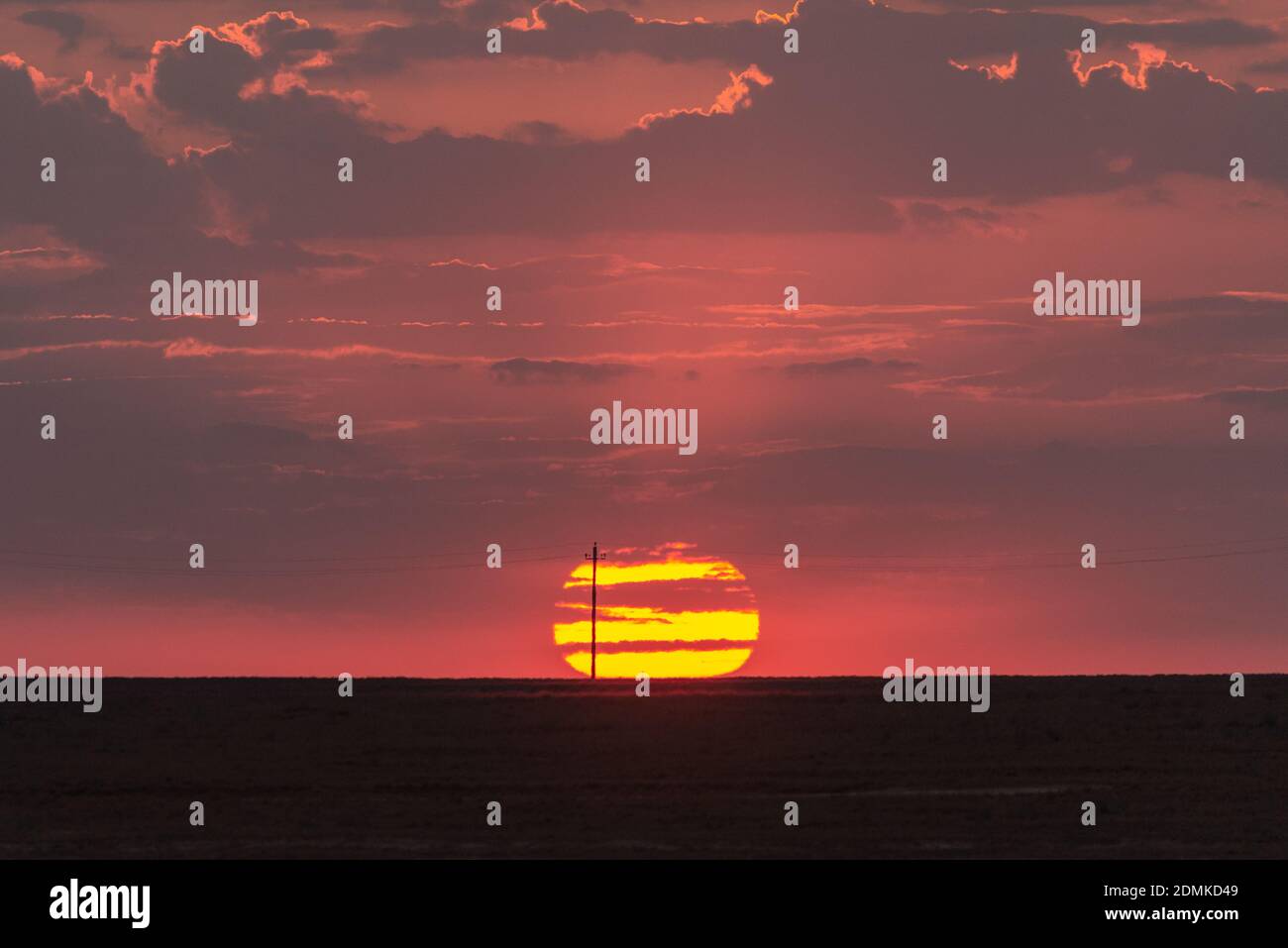 The sun slipping over the steppe at sunset. The circle of the sun is ...