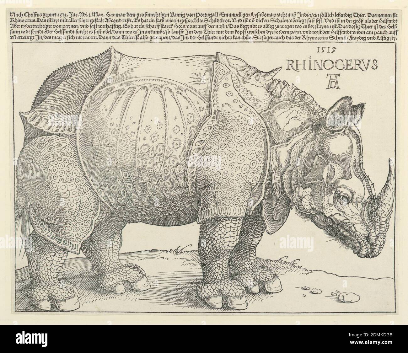 Albrecht durer the rhinoceros hi-res stock photography and images - Alamy