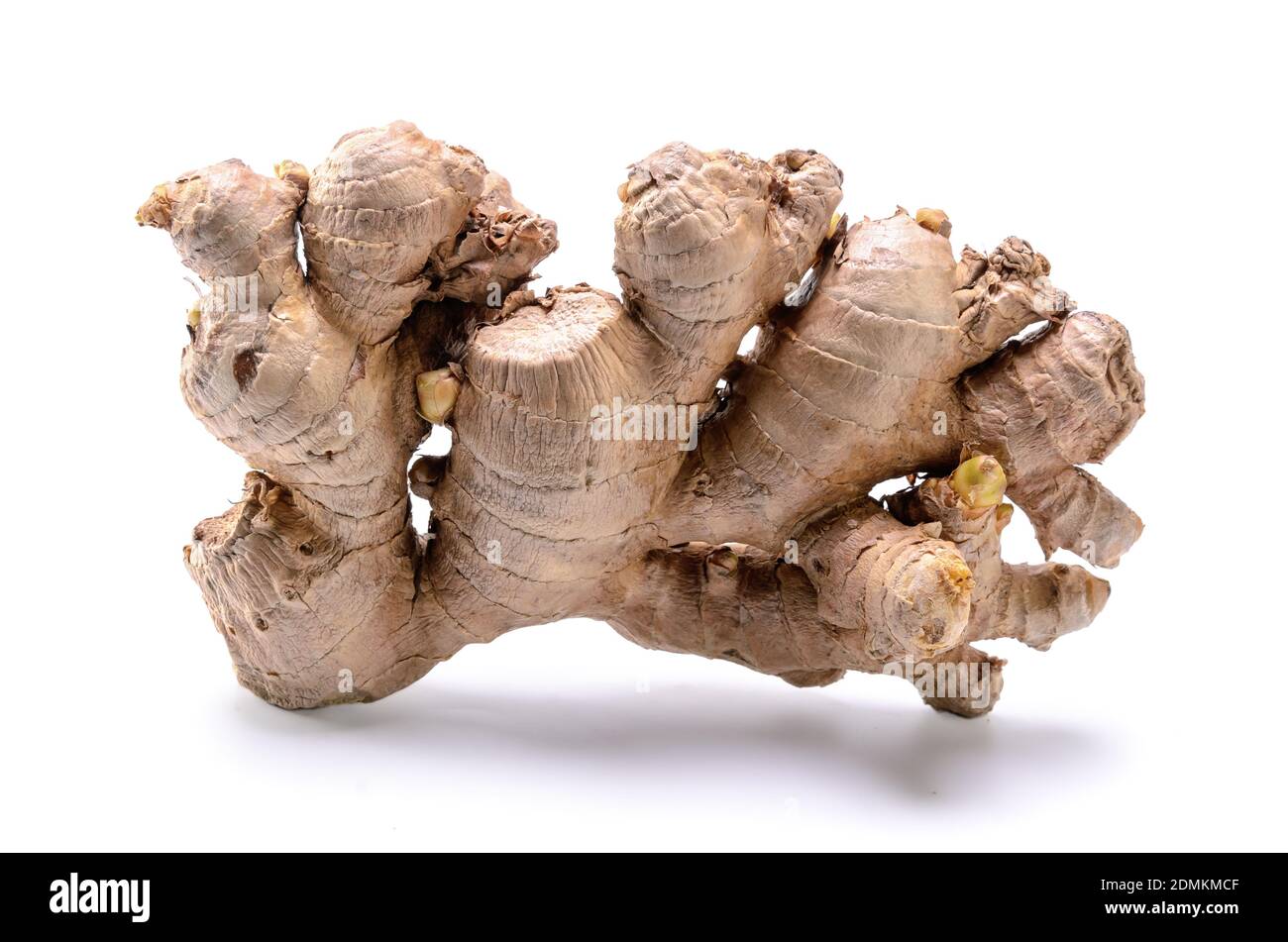 ginger root on white background with soft shadow Stock Photo - Alamy