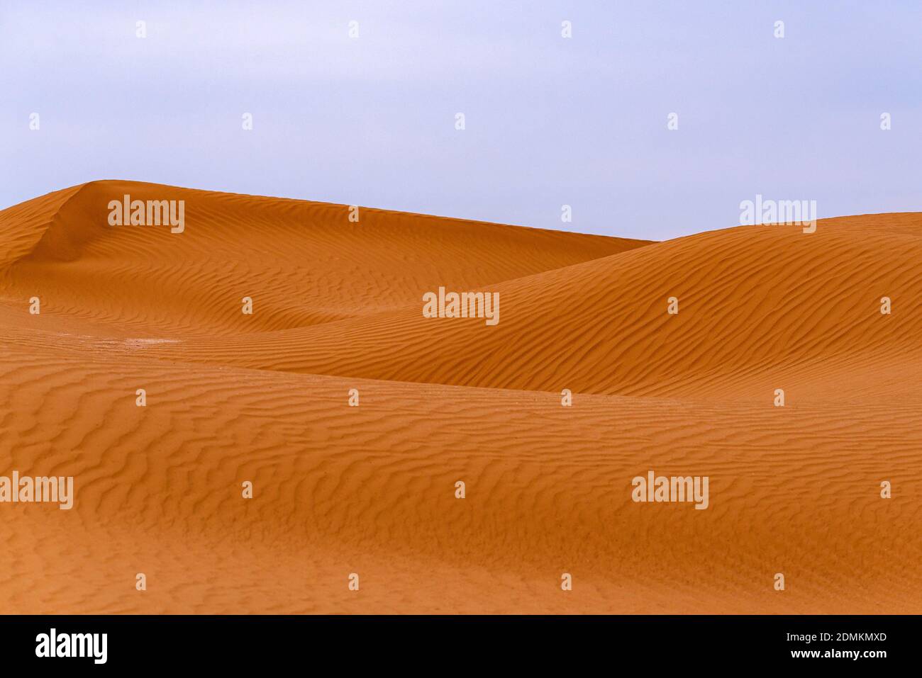 Bend of the ridge of a sand dune in the desert Stock Photo - Alamy