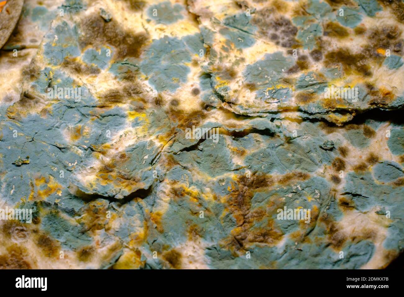 Stone covered with various mildew Stock Photo - Alamy