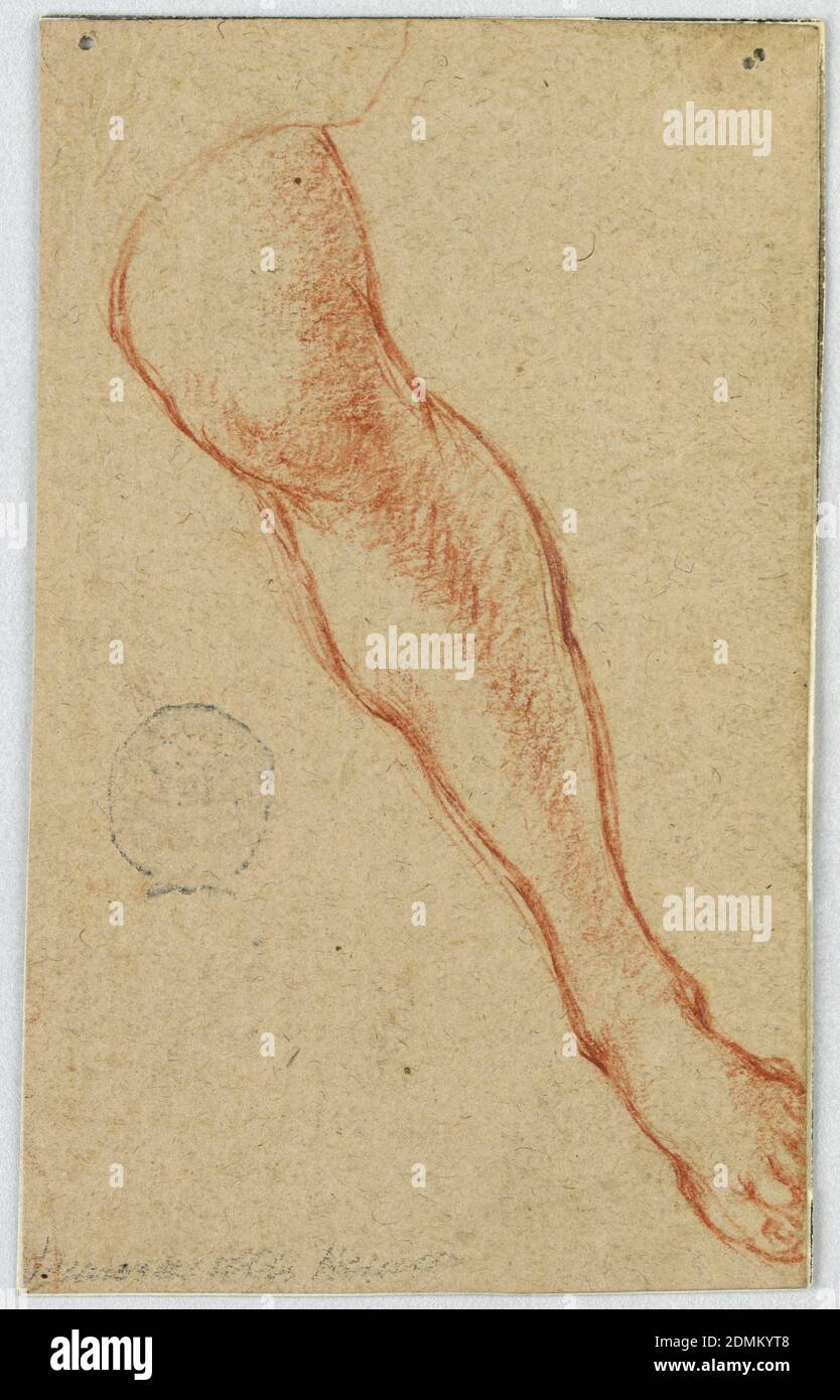 Study of the Left Leg of a Seated Woman, Red crayon on brown paper ...