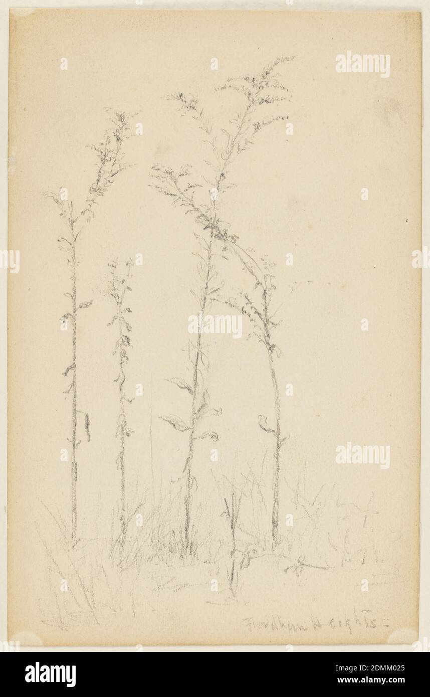 Fordham hi-res stock photography and images - Alamy