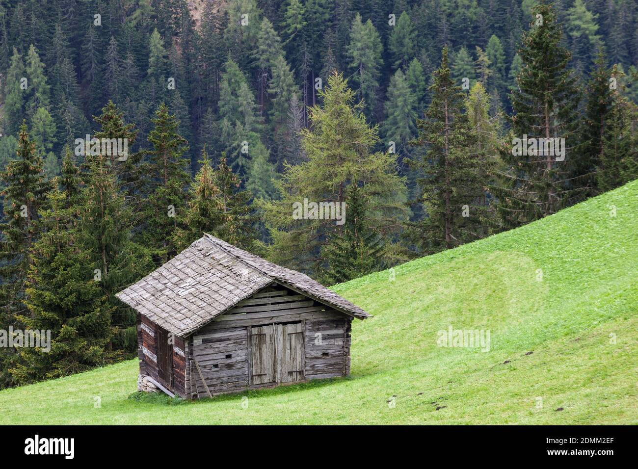 Built Structure In Forest Stock Photo - Alamy