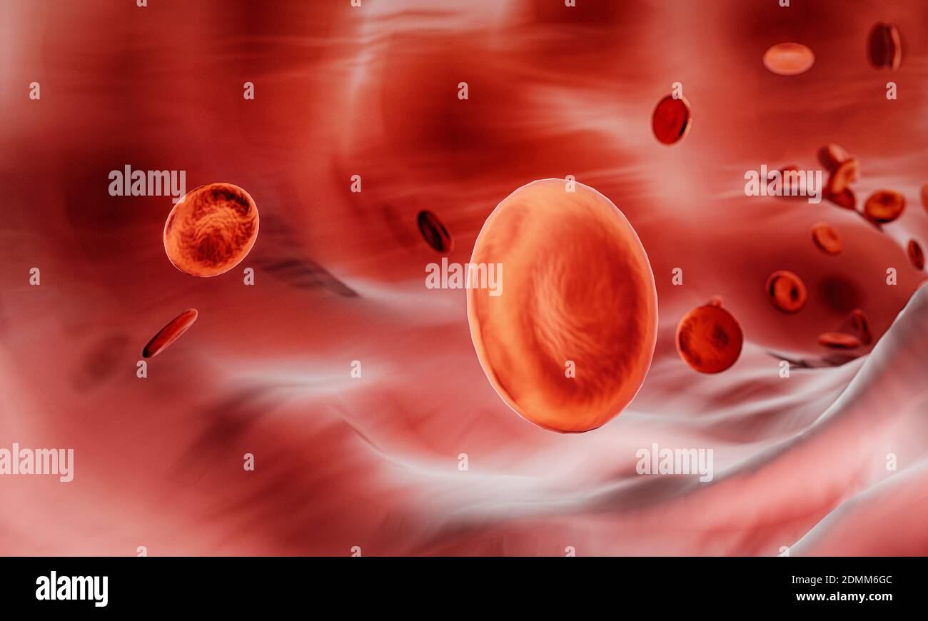 Red blood cells close up hi-res stock photography and images - Alamy