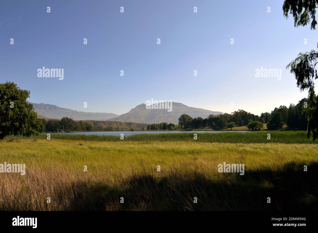 Early morning on the Lake ! Stock Photo - Alamy