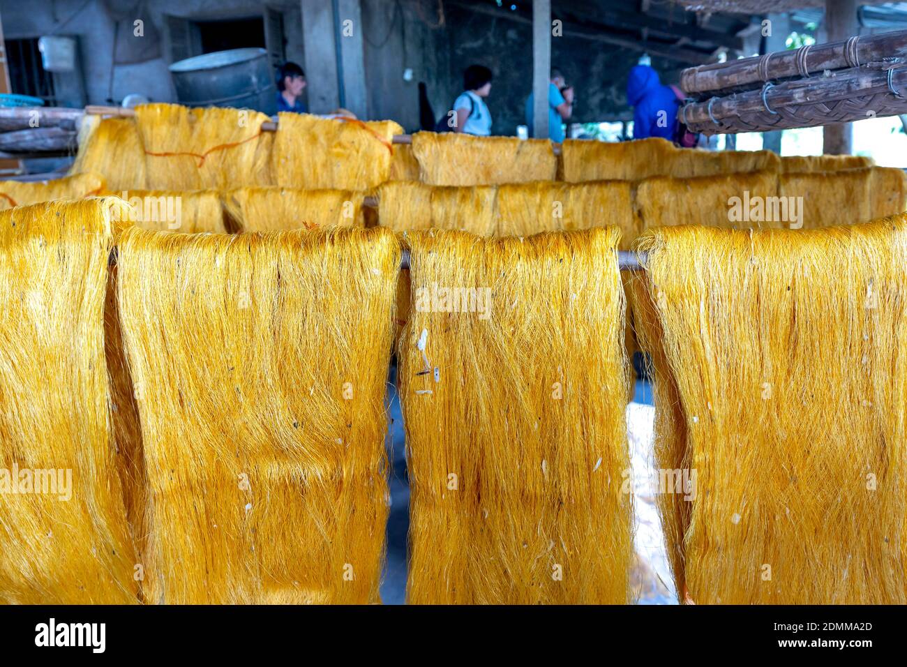 Hong Ly Commune, Thai Binh Province, Vietnam - November 14, 2020: The ...