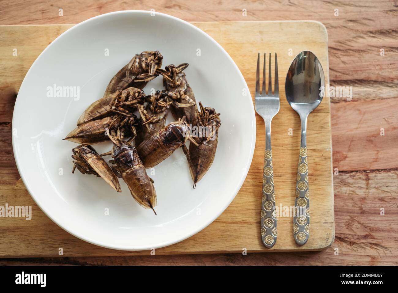 Water bugs eating hi-res stock photography and images - Alamy