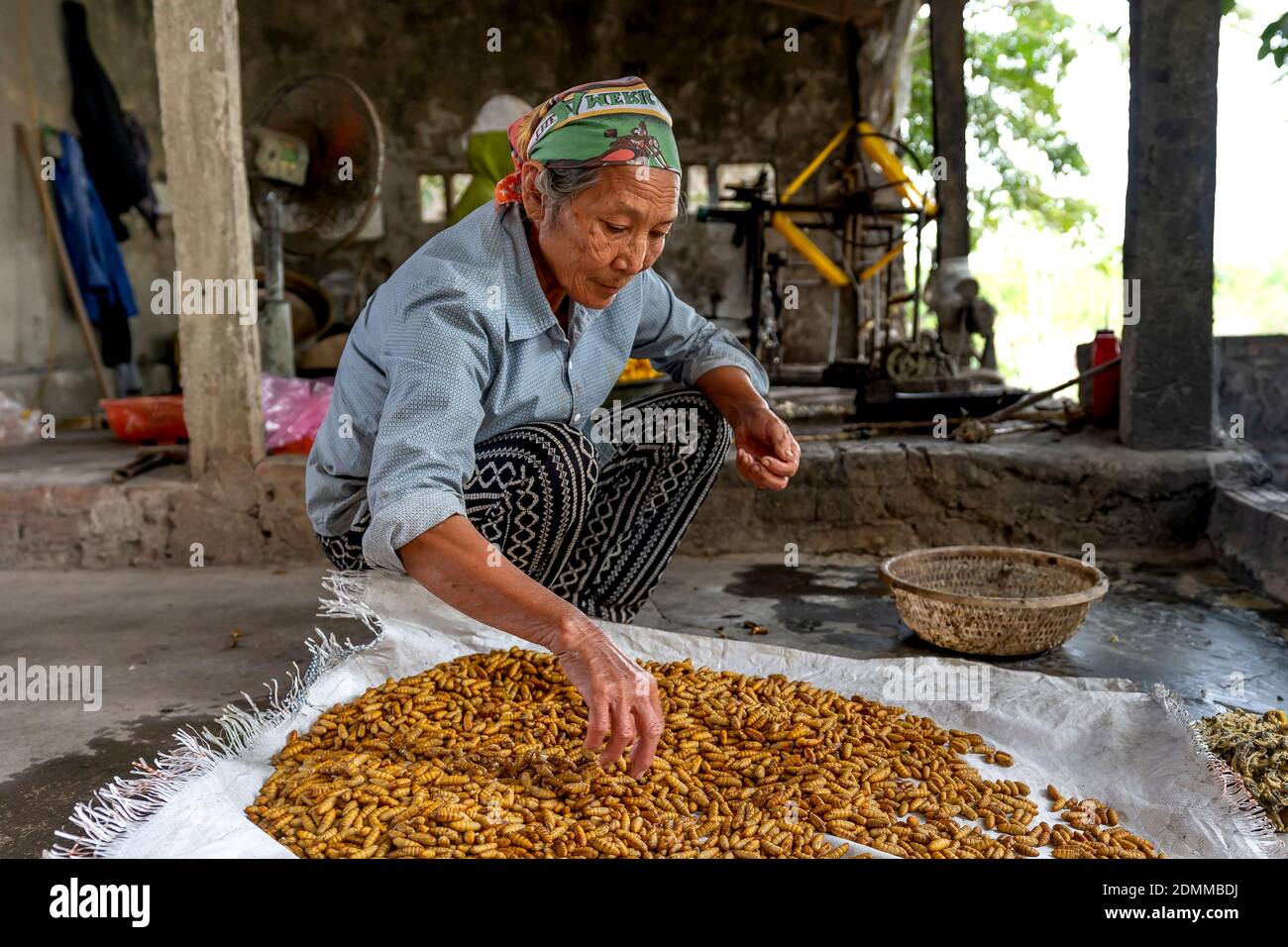 Vietnam woven traditional textiles hi-res stock photography and images ...