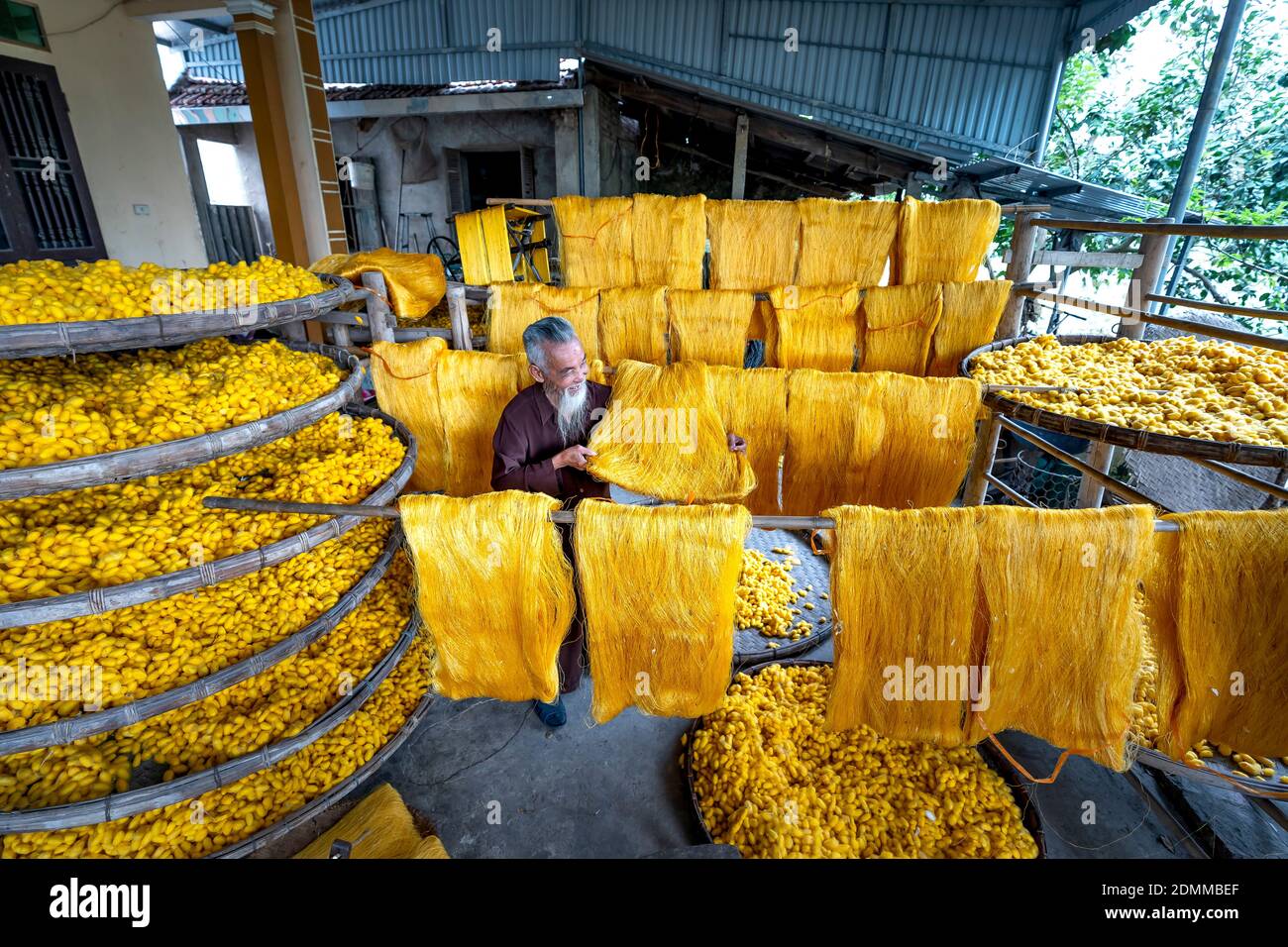 Hong Ly Commune, Thai Binh Province, Vietnam - November 14, 2020: The ...