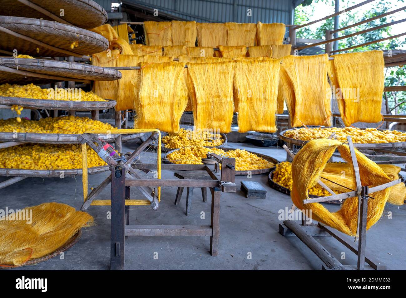 Hong Ly Commune, Thai Binh Province, Vietnam - November 14, 2020: The ...