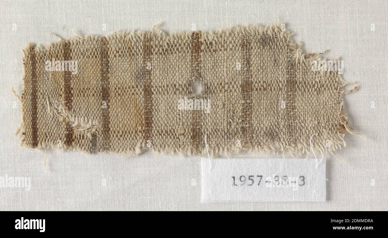 Pleain tabby hi-res stock photography and images - Alamy