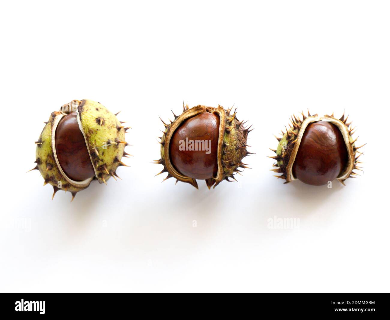 Texture wood background patterns Cut Out Stock Images & Pictures - Alamy