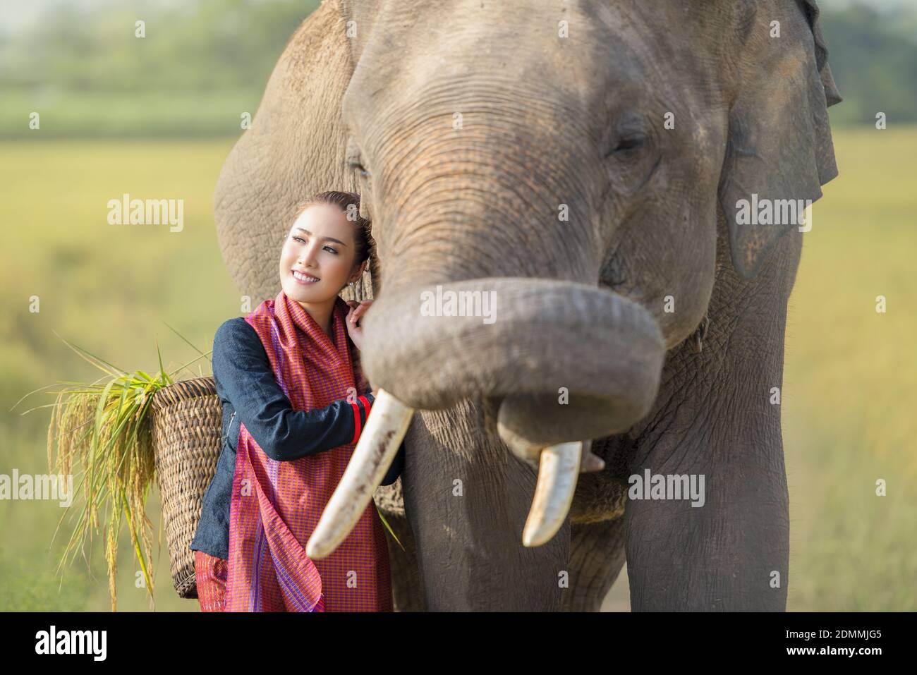 Circus elephant woman hi-res stock photography and images - Alamy