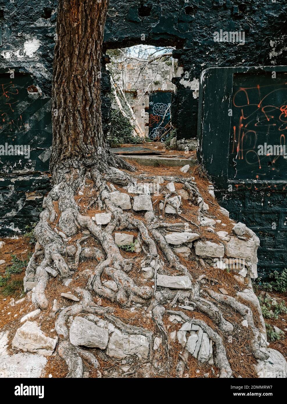 Intertwining architecture and nature hi-res stock photography and ...