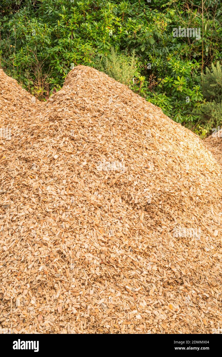 A pile of wood chippings to be used as a garden mulch Stock Photo - Alamy