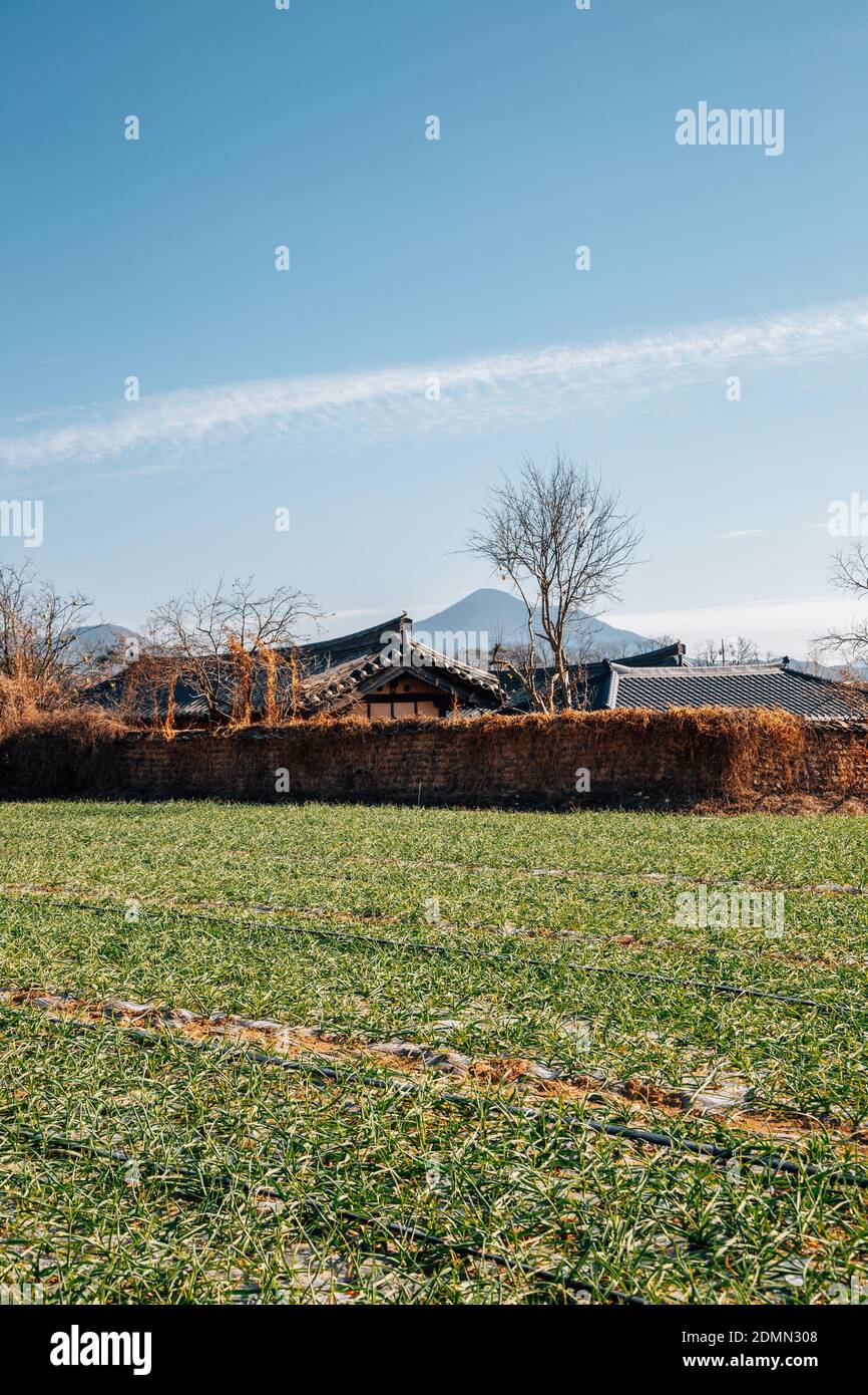 Sanun Village, Korean traditional hanok village in Uiseong, Korea Stock ...