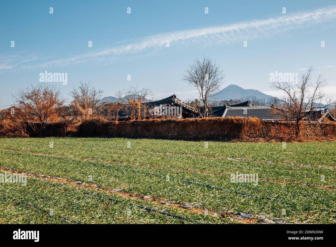 Uiseong korea hi-res stock photography and images - Alamy