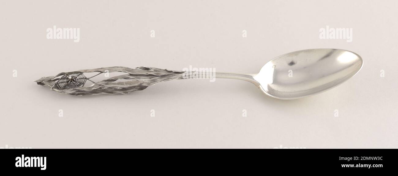 Grass spiders hi-res stock photography and images - Alamy