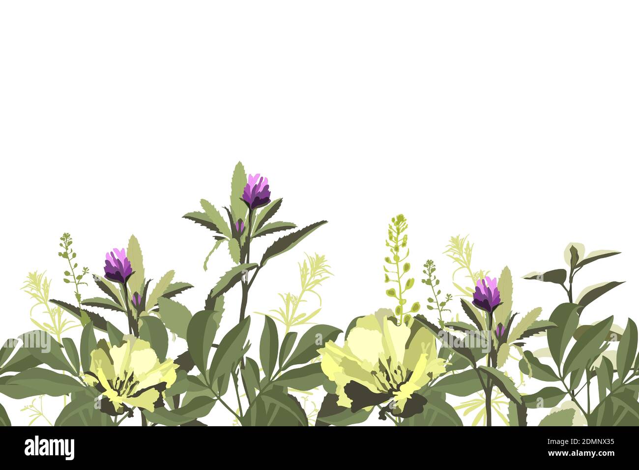 Vector floral seamless pattern, border with yellow and purple flowers ...