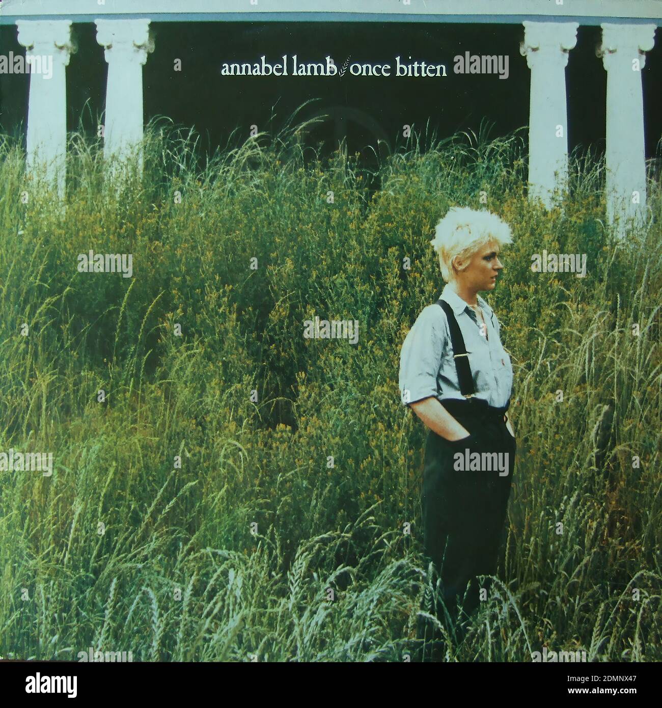 Annabel Lamb - Once Bitten - Vintage vinyl album cover Stock Photo - Alamy