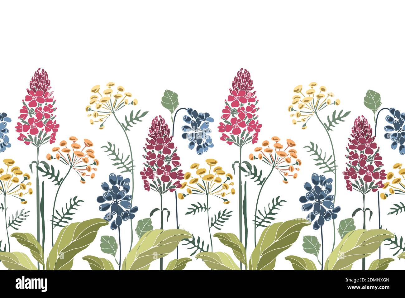Vector floral seamless border, pattern. Spring, summer flowers Stock ...