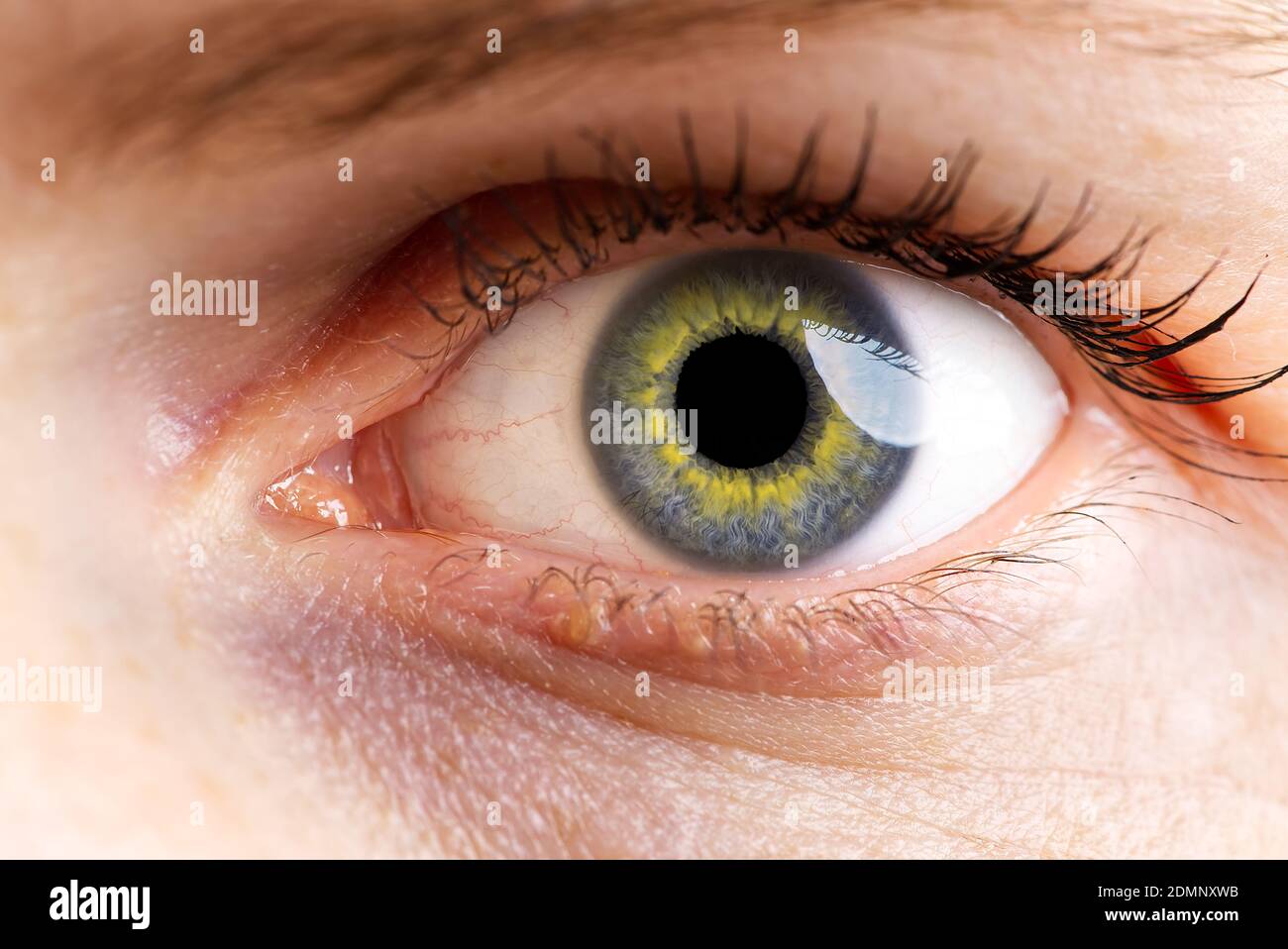 woman macro eye. macro photography of human eye Stock Photo - Alamy