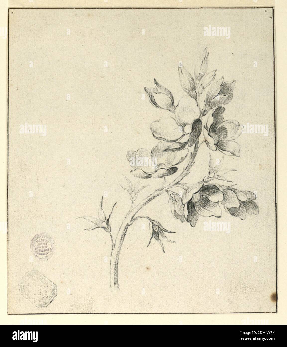Study of a Bough of Wild Roses, Black crayon on paper, France, 1775 ...