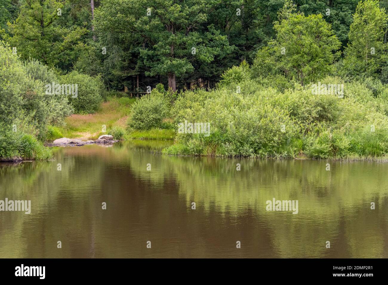 idyllic waterside scenery around Wiesenfelden in the Bavarian Forest at ...