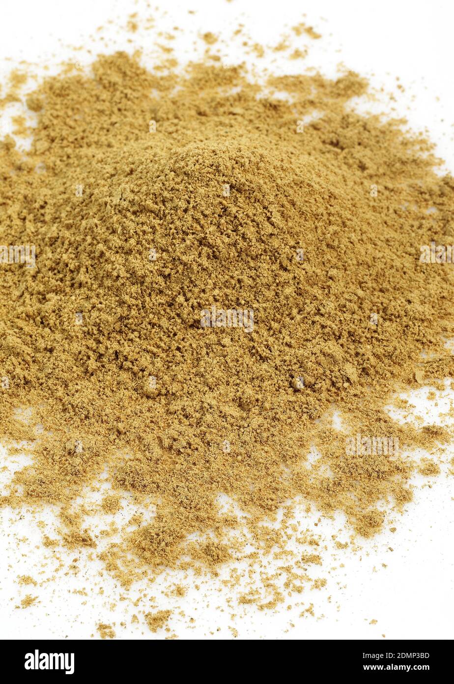 Ginger Powder, zingiber officinale against White Background Stock Photo ...