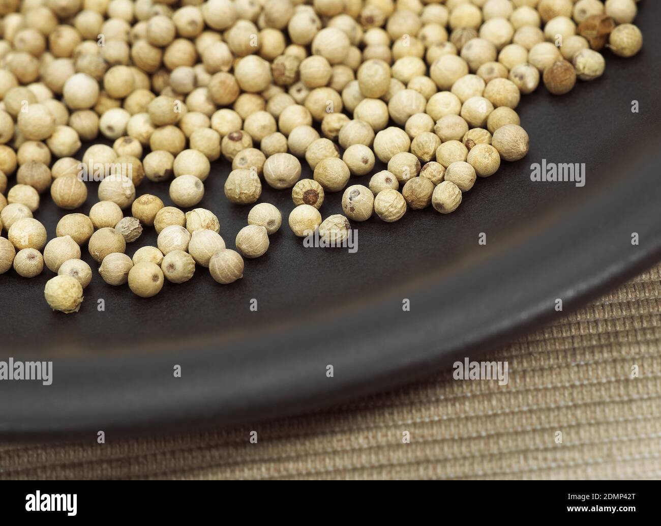 White Peppercorn, peper nigrum Stock Photo - Alamy