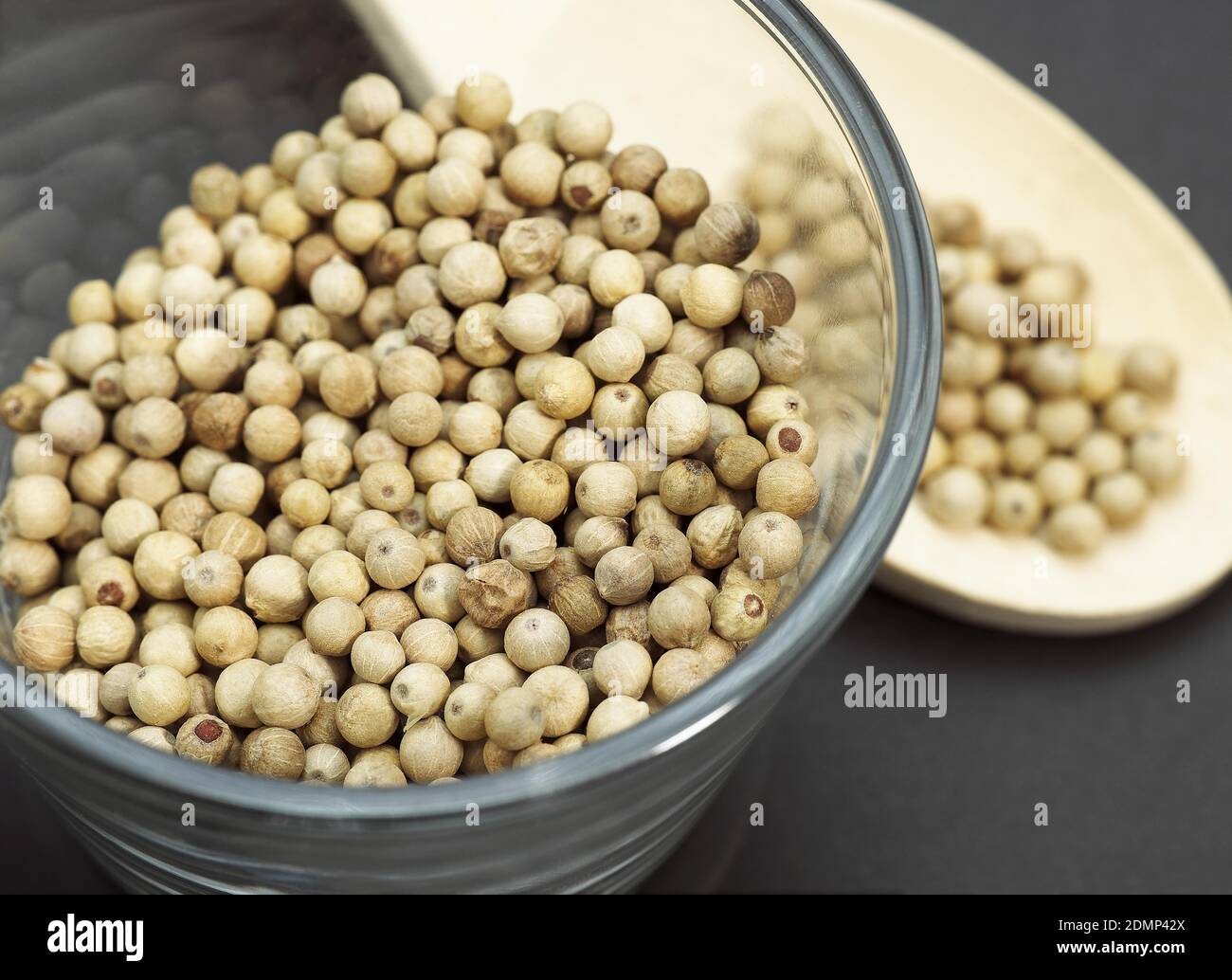 White Peppercorn, peper nigrum Stock Photo - Alamy