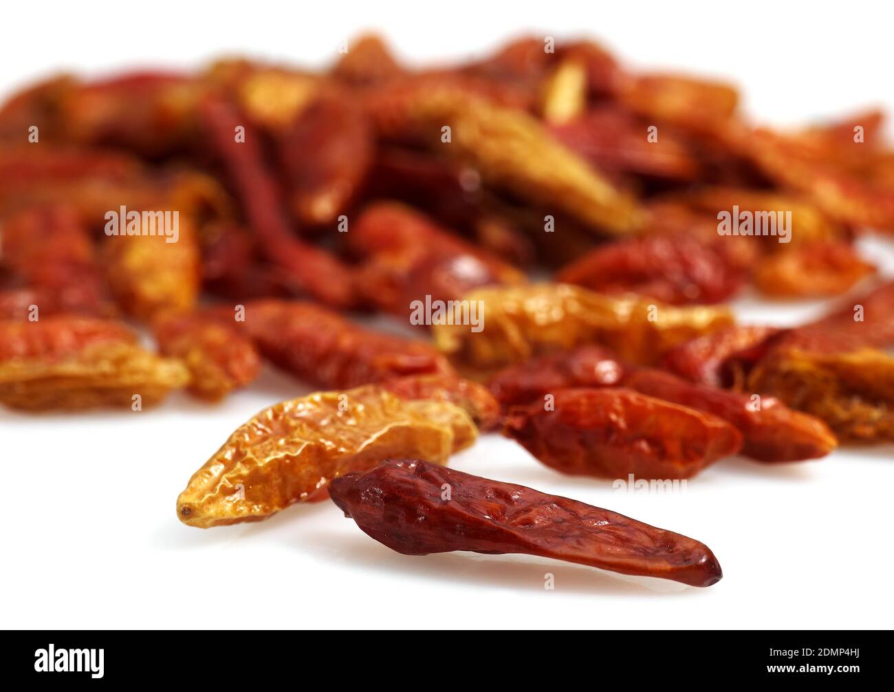 Bird Pepper, capsicum frutescens against White Background Stock Photo ...
