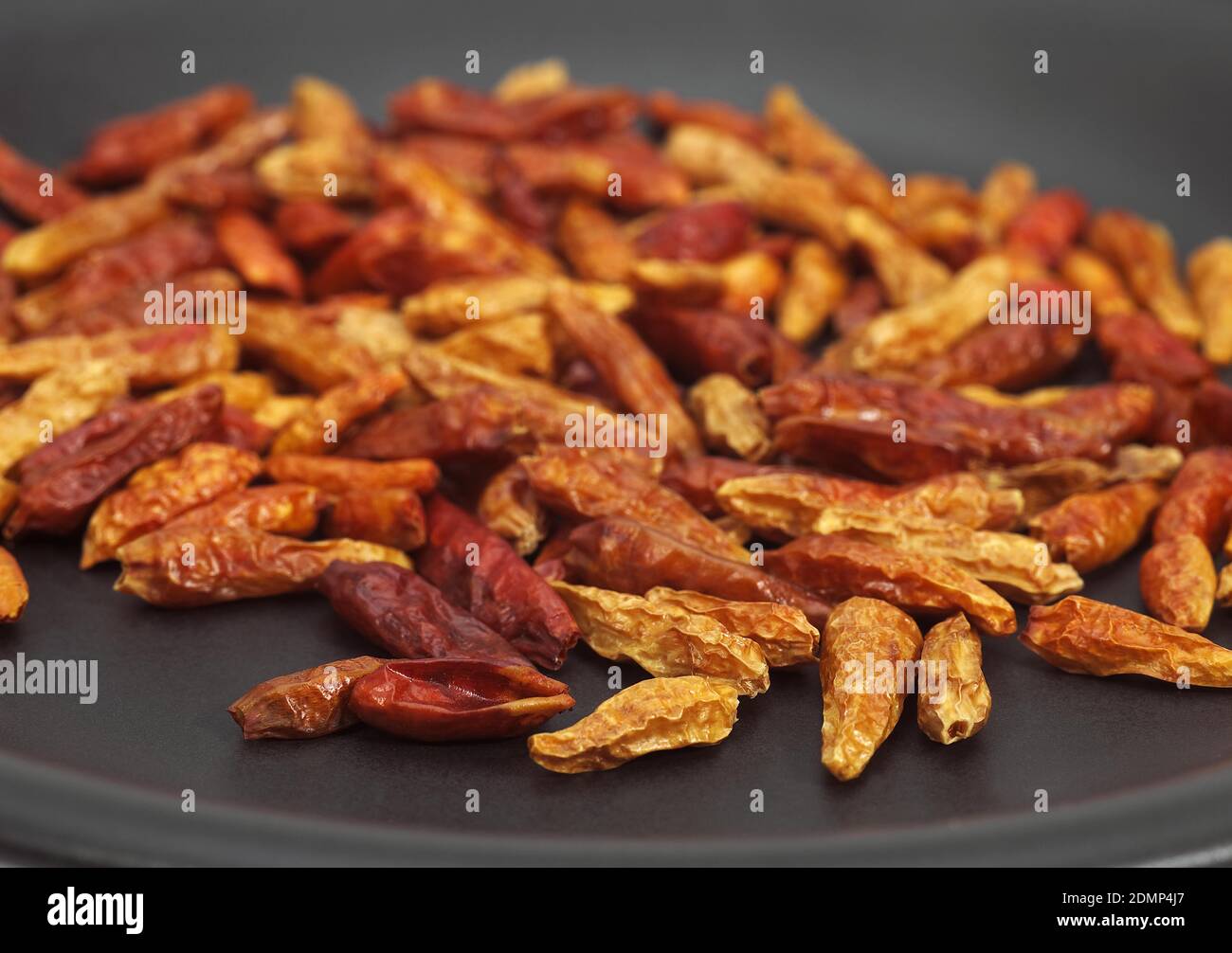 Bird Pepper, capsicum frutescens Stock Photo - Alamy