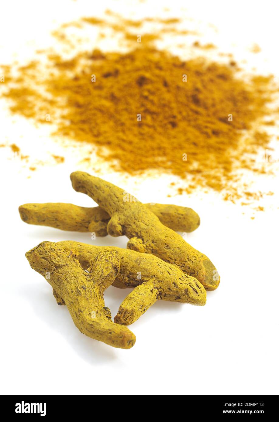 Root of Turmeric, curcuma longa, an Indian Spice against White ...
