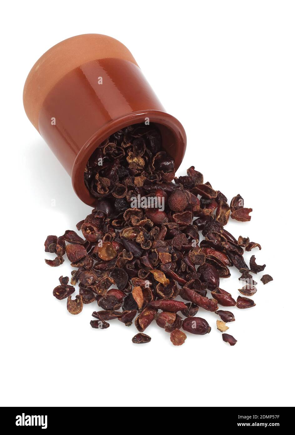 Dog Rose Dry Fruits, rosa canina, Delicious as Marmelade Stock Photo ...