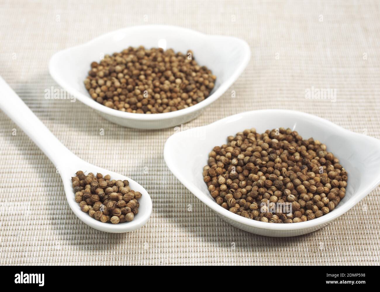 Coriander Seeds, coriandrum sativum Stock Photo - Alamy